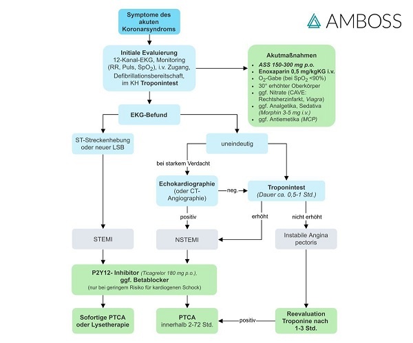 Viele neue klinische Flowcharts
