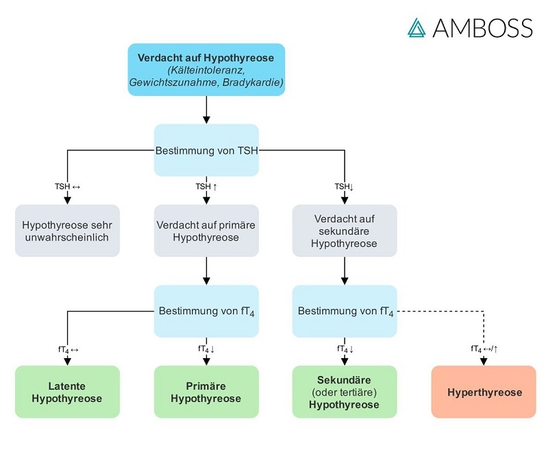 Viele neue klinische Flowcharts