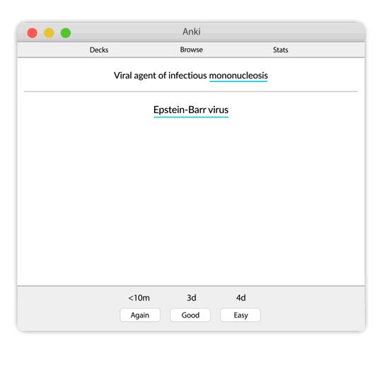 How to get the most out of the AMBOSS add-on for Anki